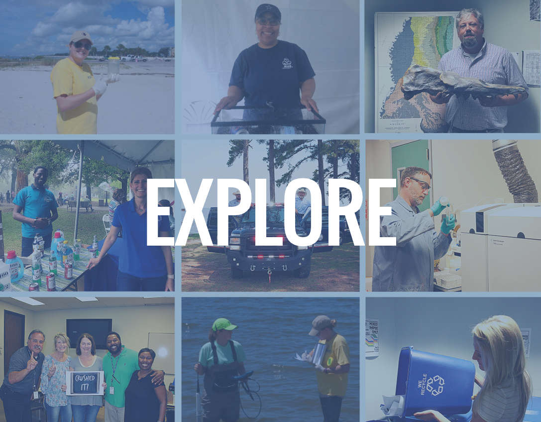 Careers & Opportunities – MDEQ