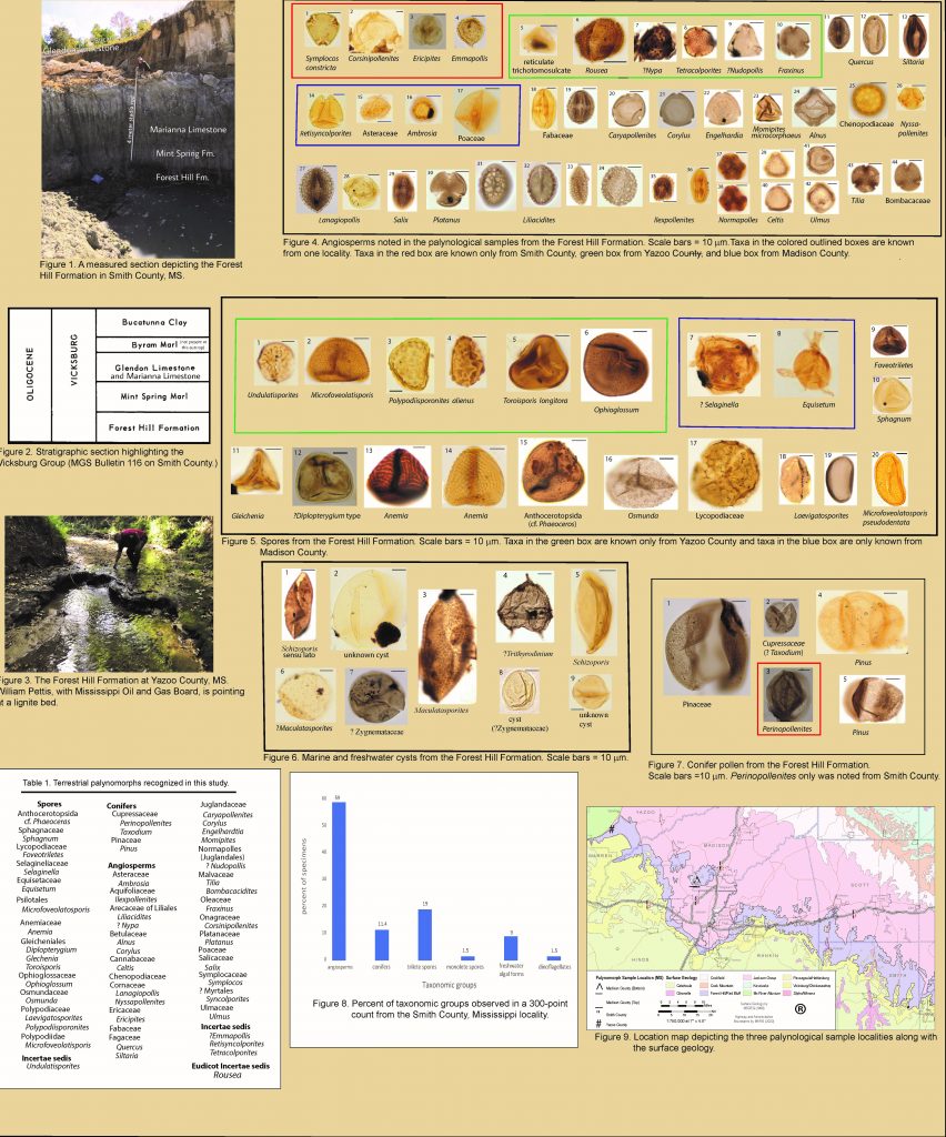 Fossil Friday – MDEQ