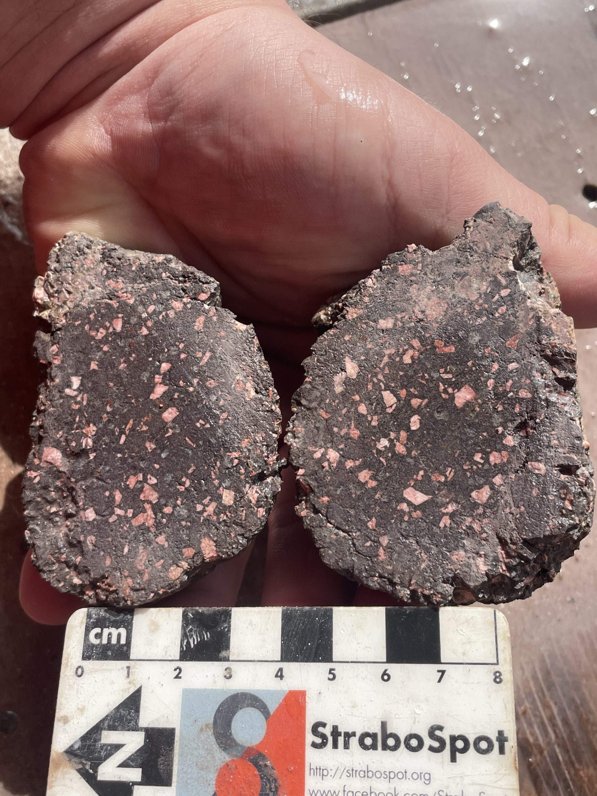 Fossil Friday – MDEQ