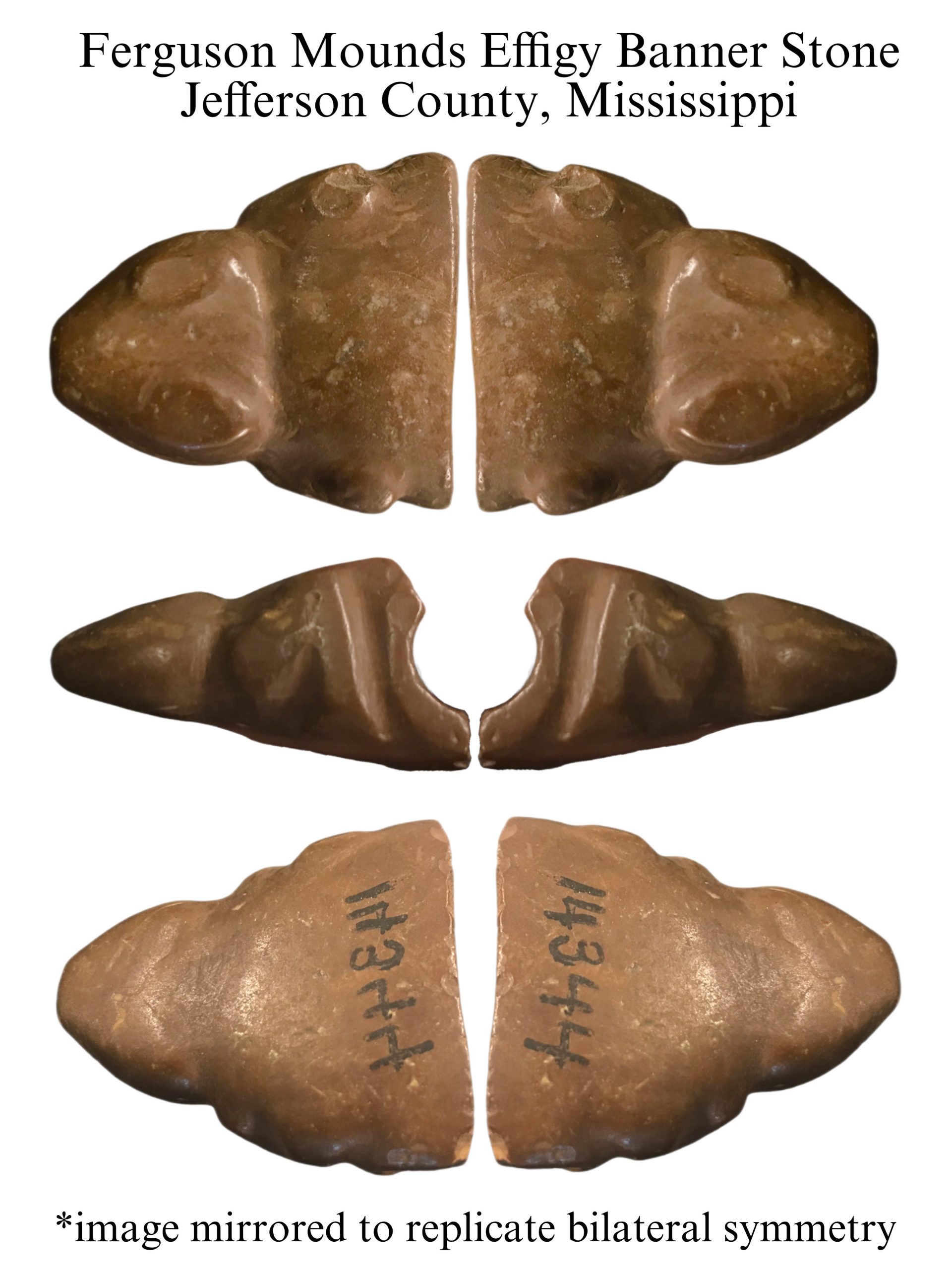 Fossil Friday – MDEQ