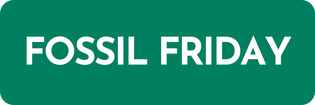 MDEQ Virtual Classroom – MDEQ