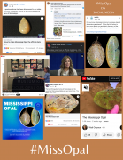 Mississippi Opal – MDEQ
