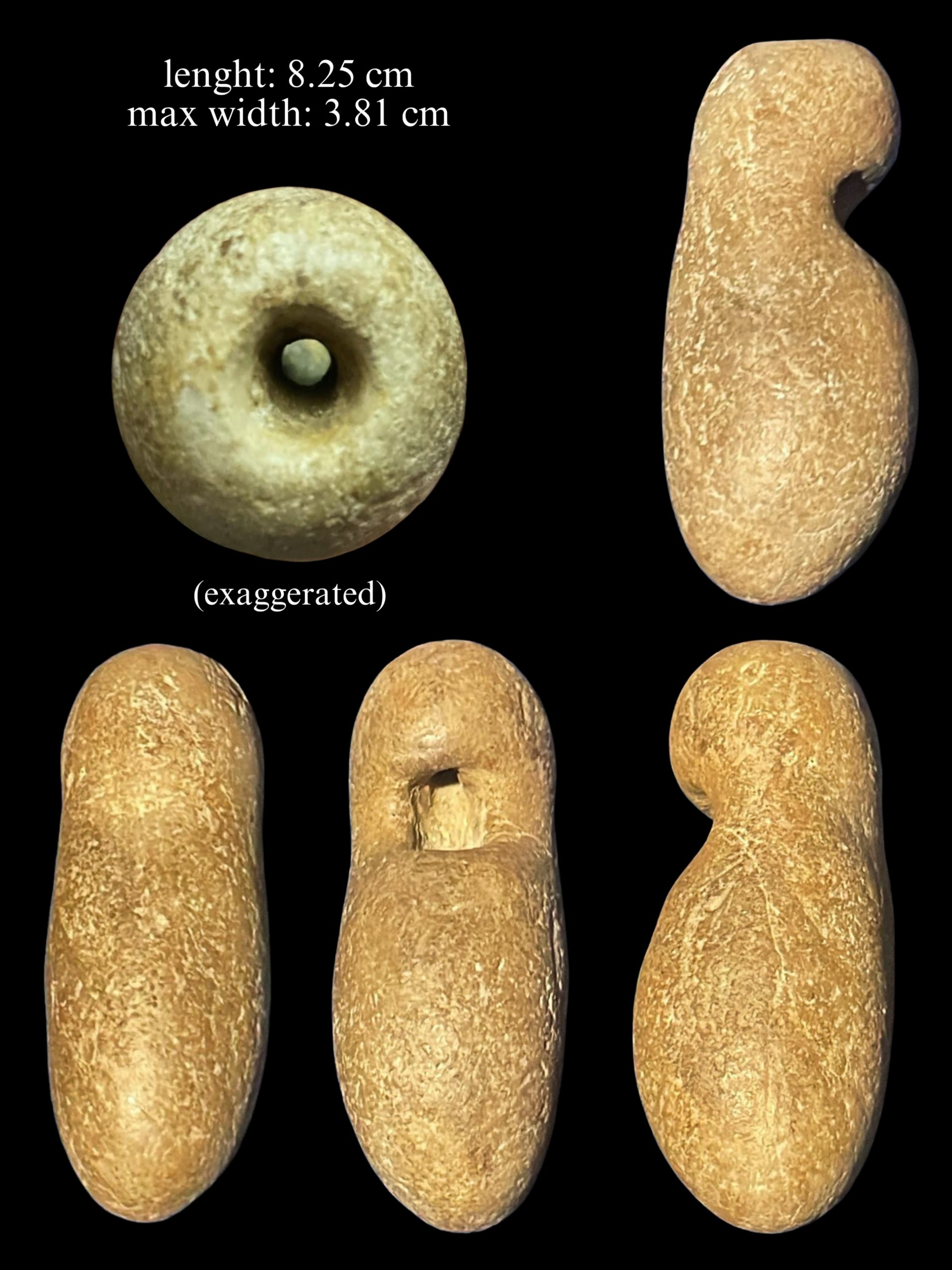 Fossil Friday – MDEQ